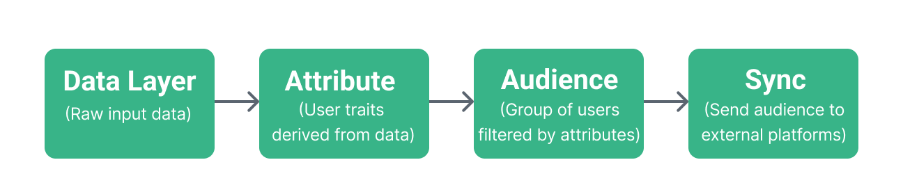 Audiences - An Overview – SYNTASA™